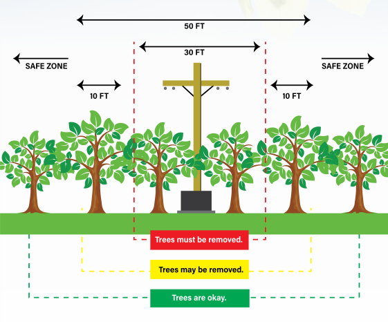 Vegetation Management Overview | Steuben Rural Electric Cooperative